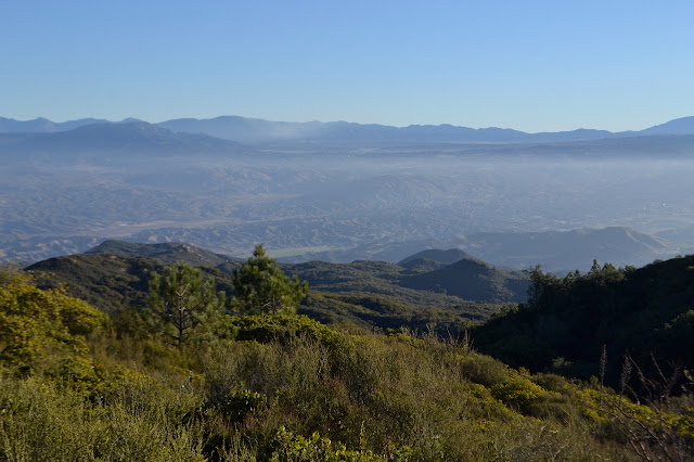 Agua Tibia: Dripping Springs