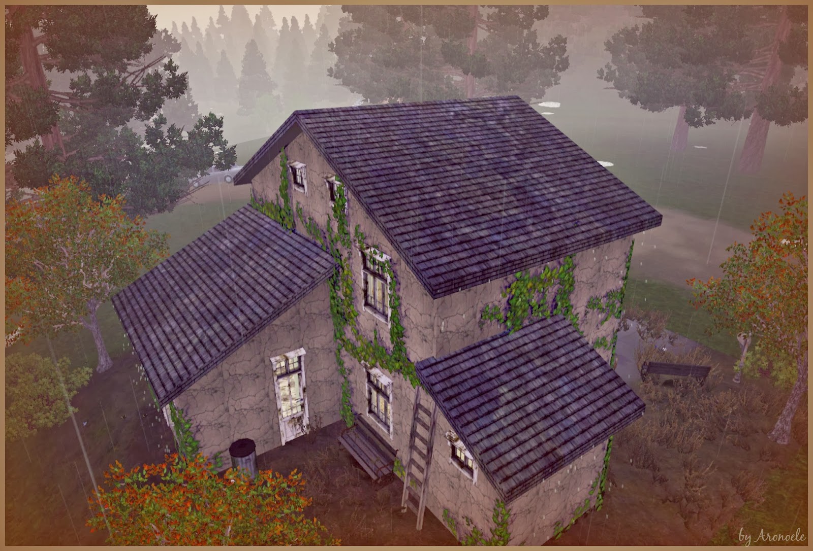 Aronoele Sims: Old house - squat living