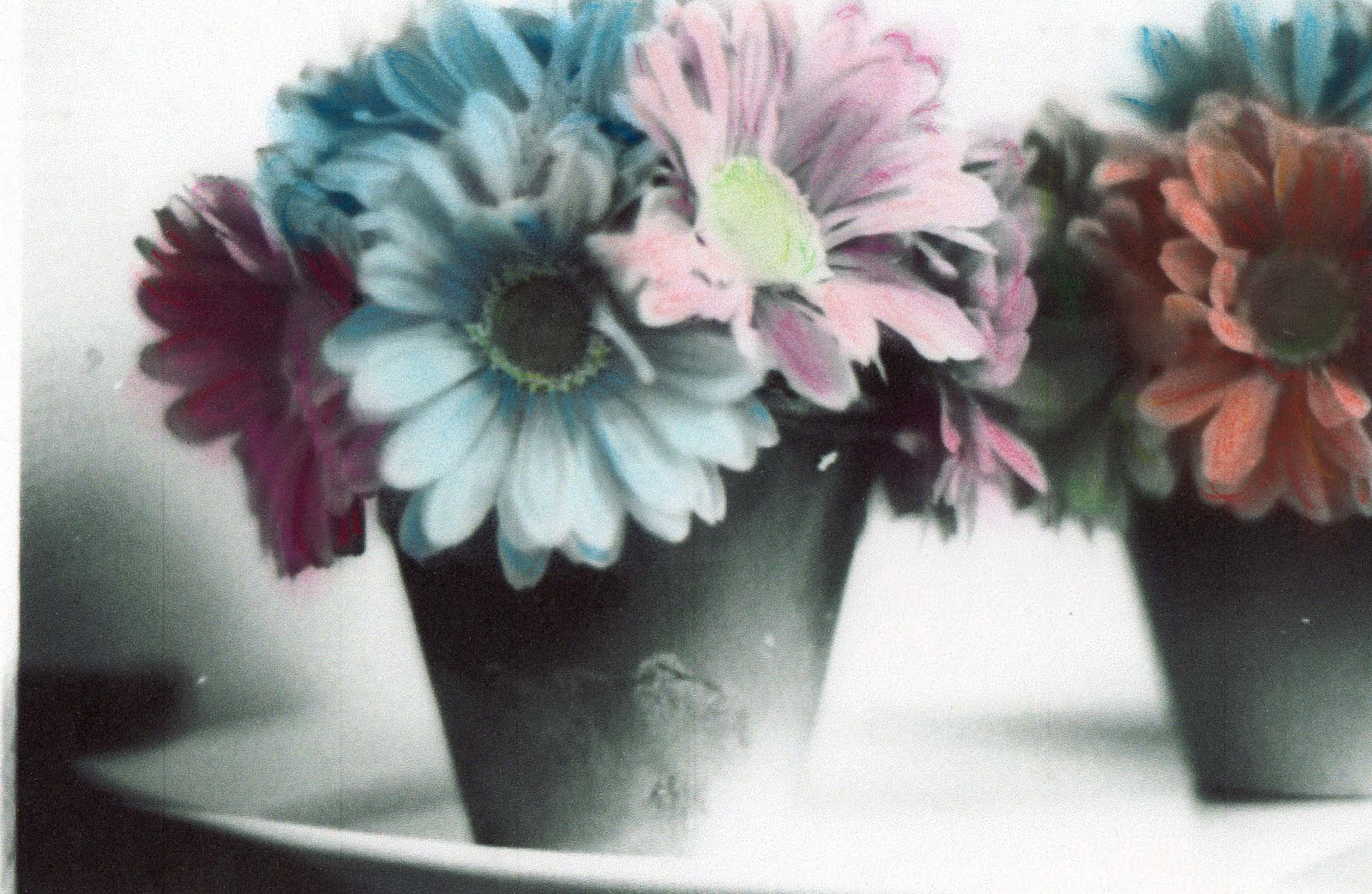 Photography: hand colored flowers