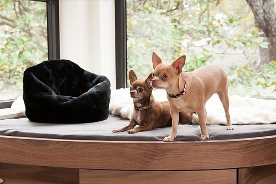 8 Design Ideas for Dog-friendly Living | Australian Dog Lover