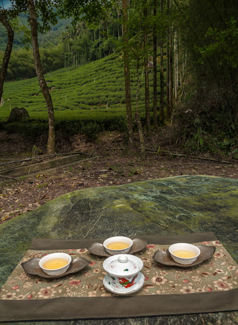 Tea Masters: When a cup of tea is a trip to nature