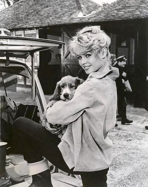 Brigitte Bardot, gran defensora animal | ENTRE EL CAOS Y EL ORDEN MAGAZINE