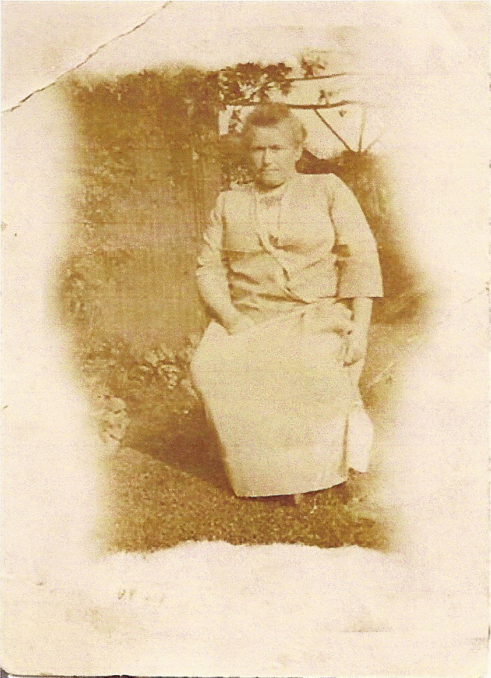 History and Genealogy of the Nye Family of Kent