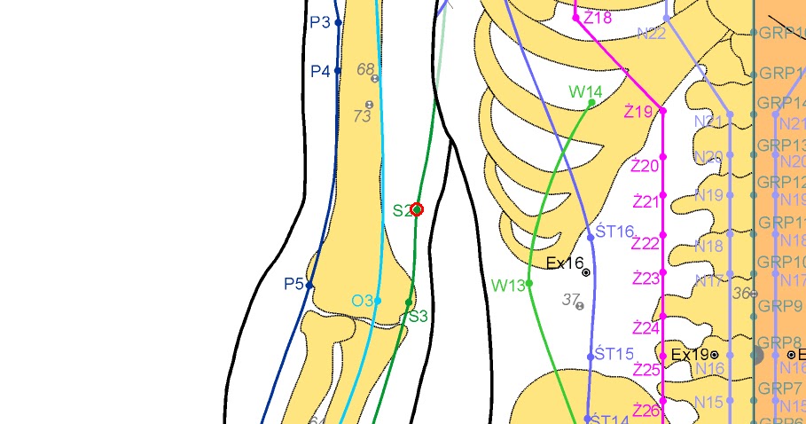 Meridian Serca S2 ~ Akupunktura punkty