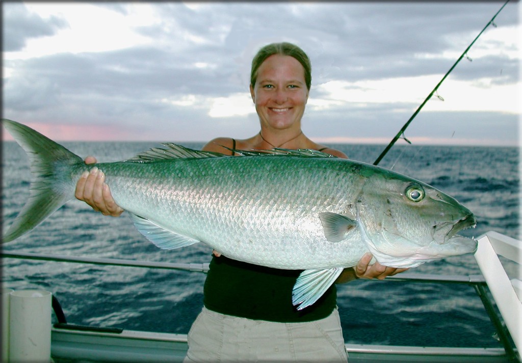 Fish Tales on Maui: Wahoo, Gray Snapper and Mahi Mahi!