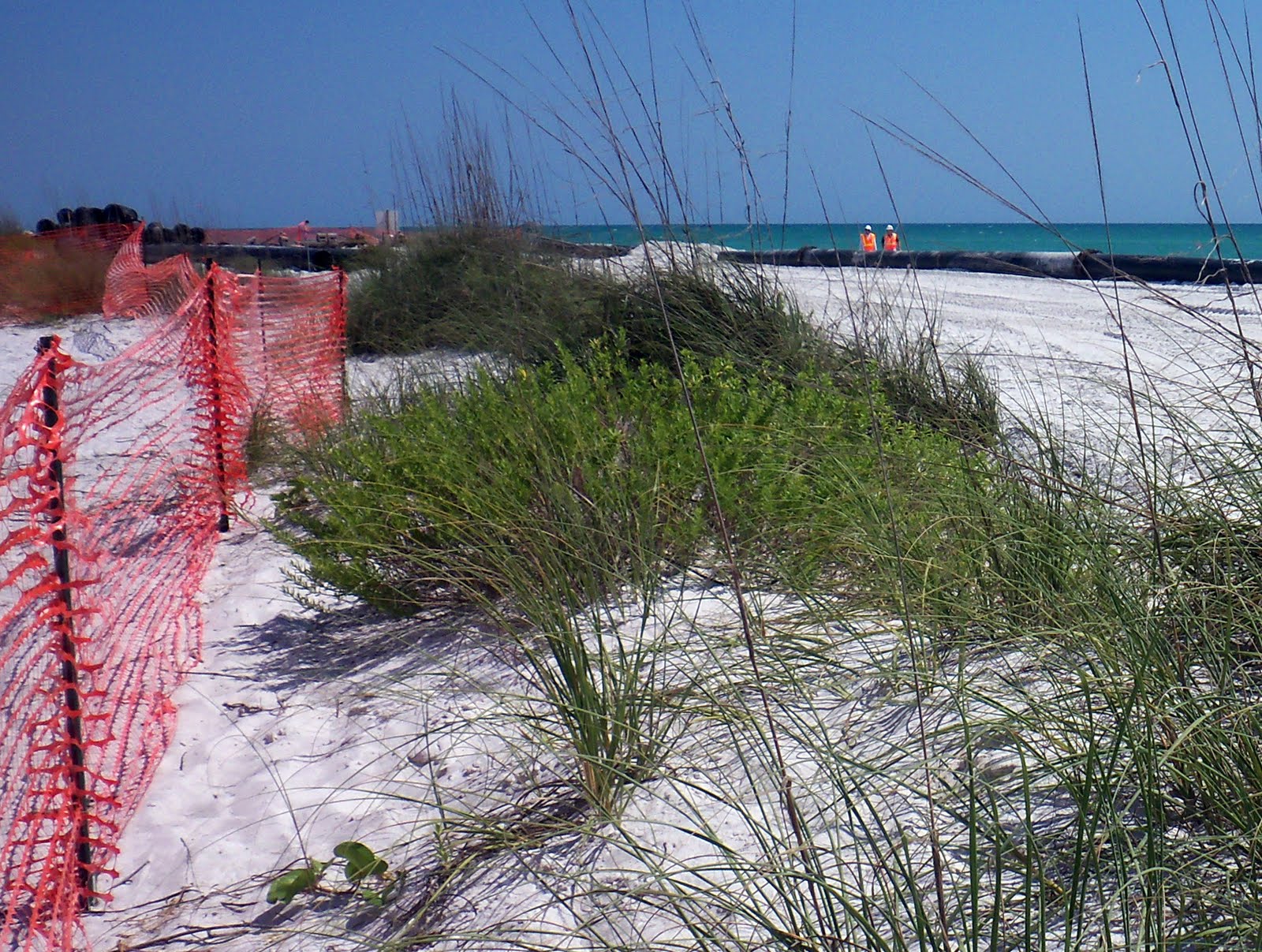 Southwest Florida Shoreline Studies: North Longboat Key Sand Renourishment