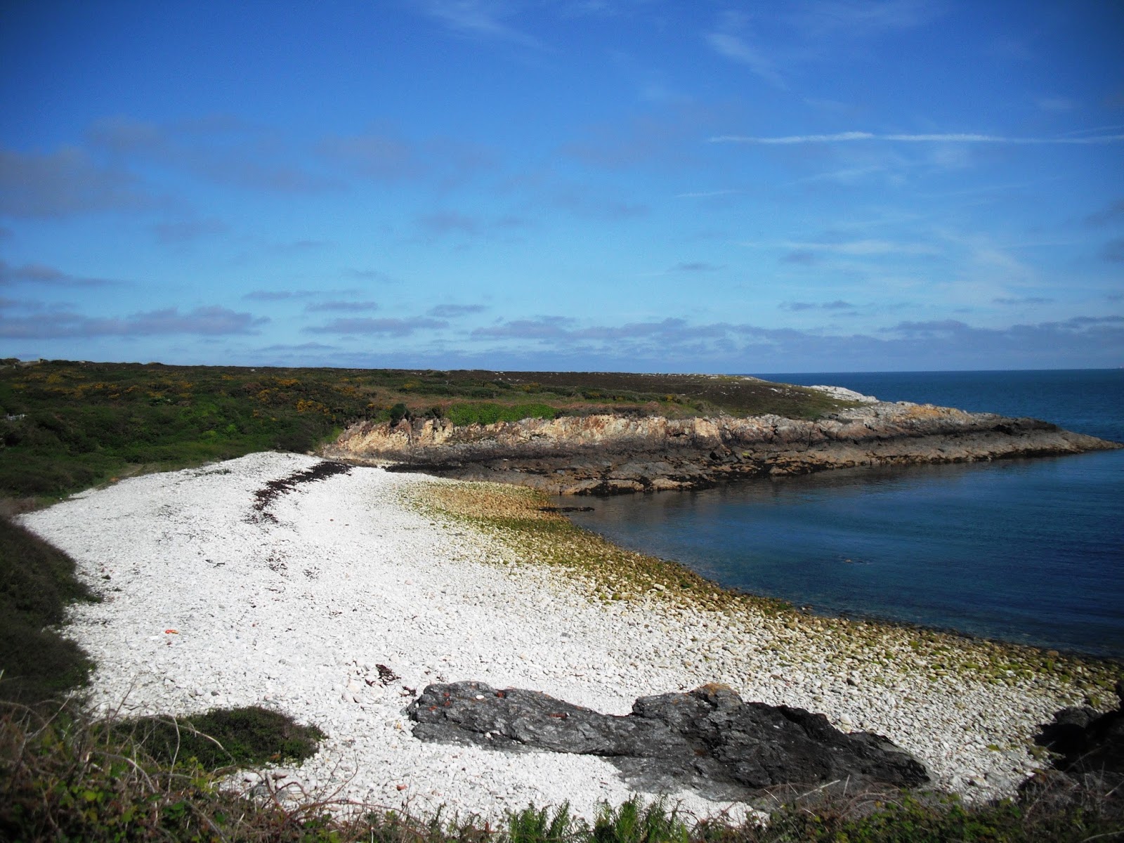 Love my life: Holyhead Coastal Walk