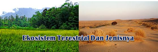 Pengertian Ekosistem Terestrial Dan Jenisnya - Seputar Pengertian Pengertian Ekosistem Terestrial Dan Jenisnya - Seputar Pengertian