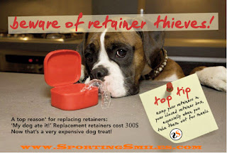SportingSmilesBlog: Why do dogs eat retainers?