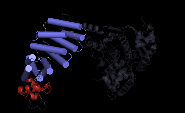Structure of Collagenase G and Mechanism of Bacterial Collagenolysis ...