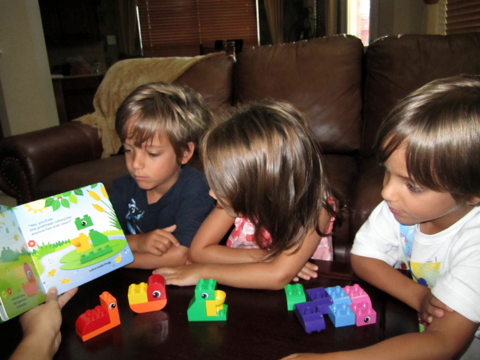 Steece's Pieces: Reading Books and Building Blocks