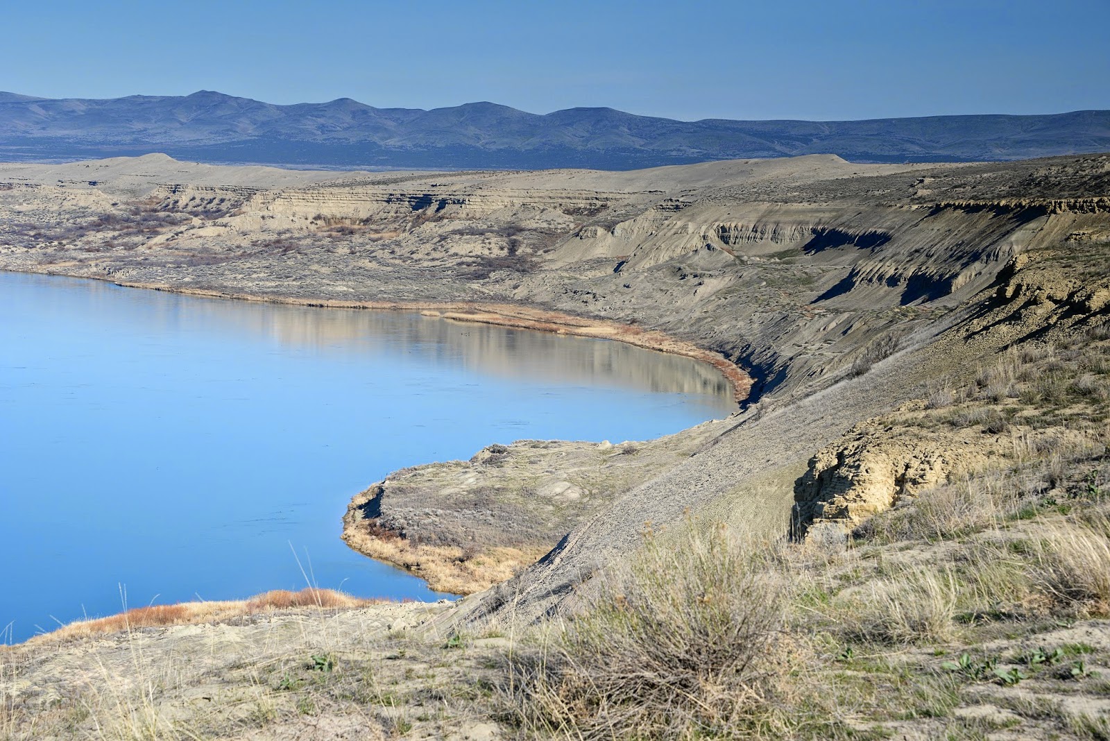 White Bluffs- North Slope, Eastern Washington