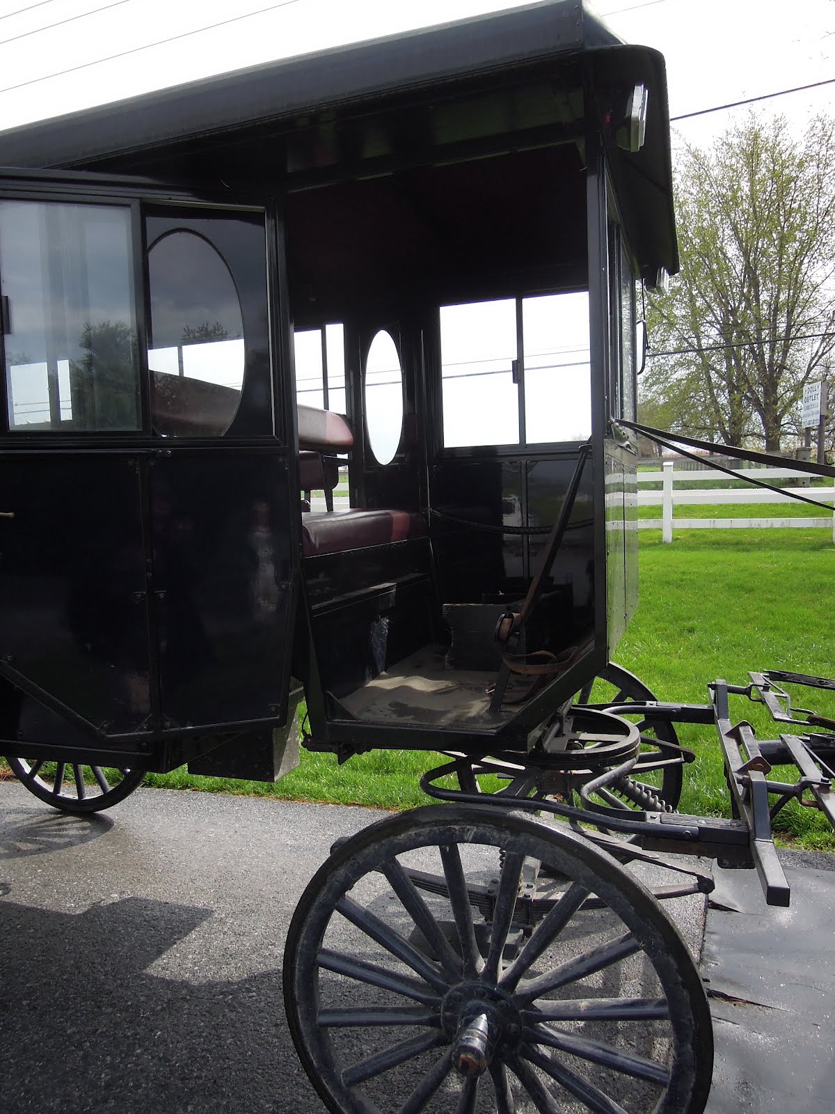 Life's Adventures: Amish Buggy ride and Farm visit
