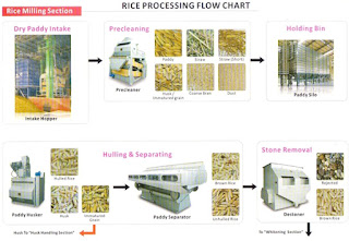 Tabaar Commodities - The Rice Exporter: Producing and Milling Of Rice