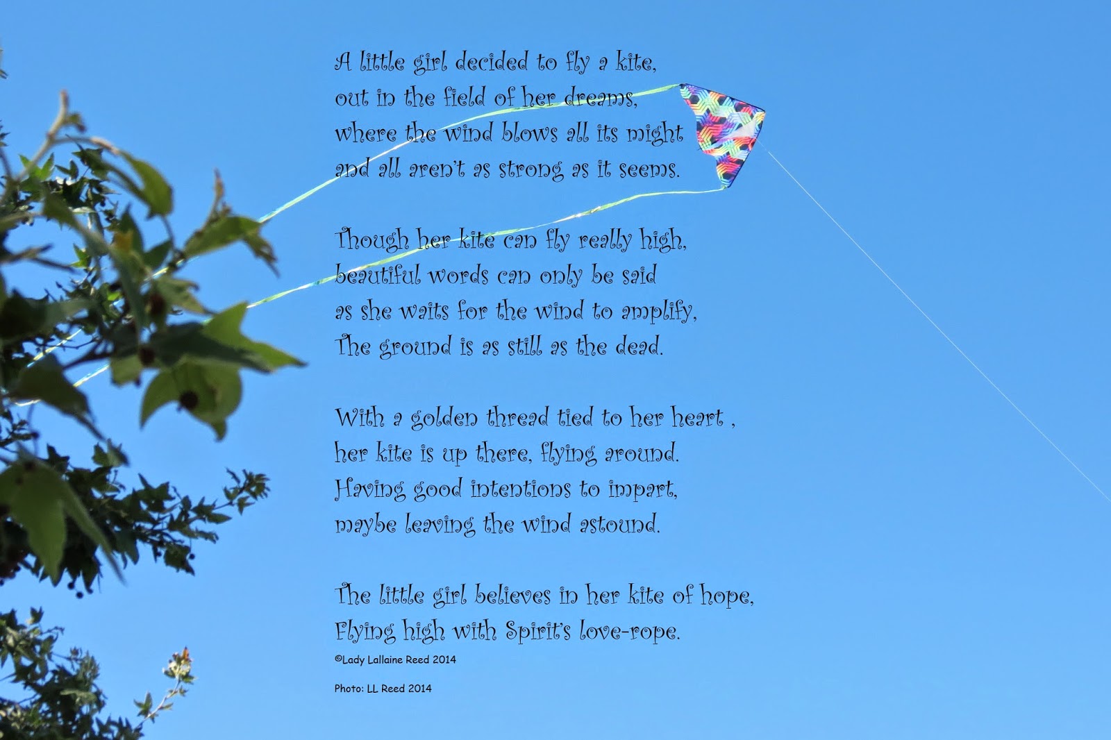 Lady Lallaine Reed's Positive