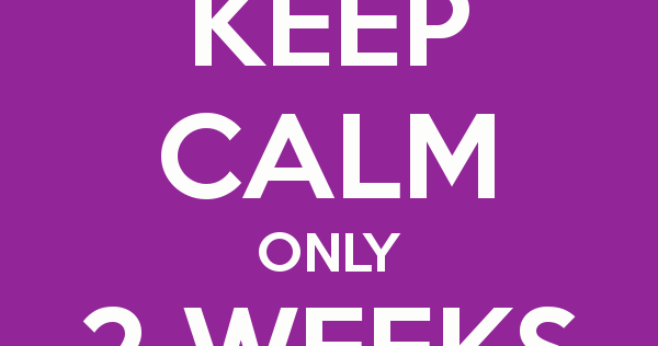 Sweet Confections Chapter Three & a Romantic Suspsense Anthology ...