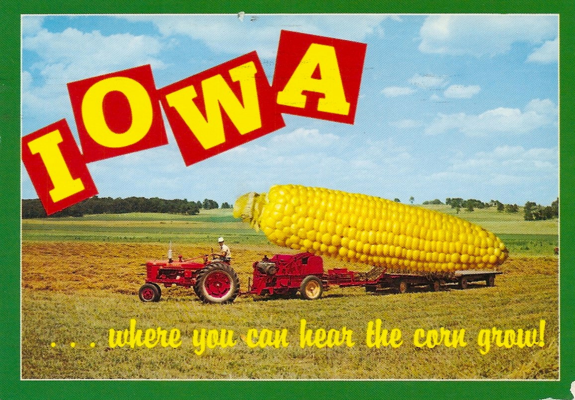 A Collection of Postcards: Iowa...where you can hear the corn grow!