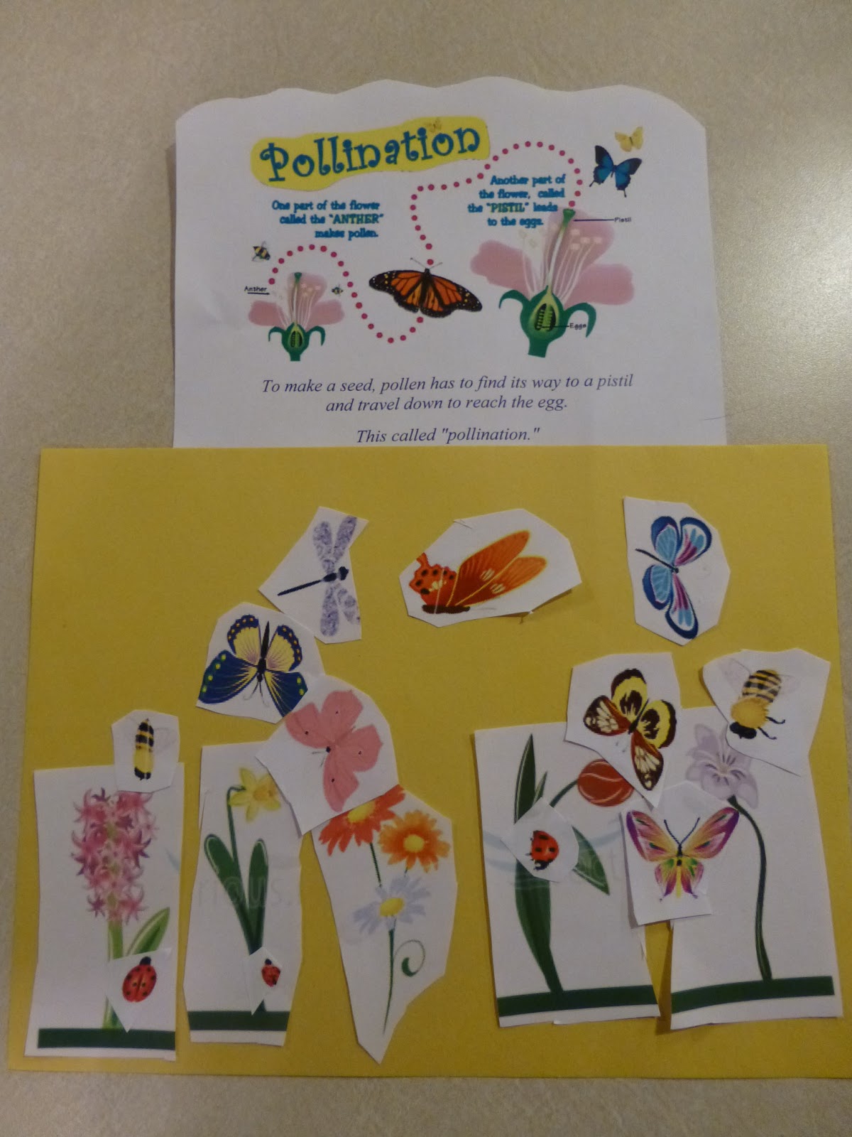 Halfway Homeschooling: Spring Craft - Practicing Cutting - Pollination ...