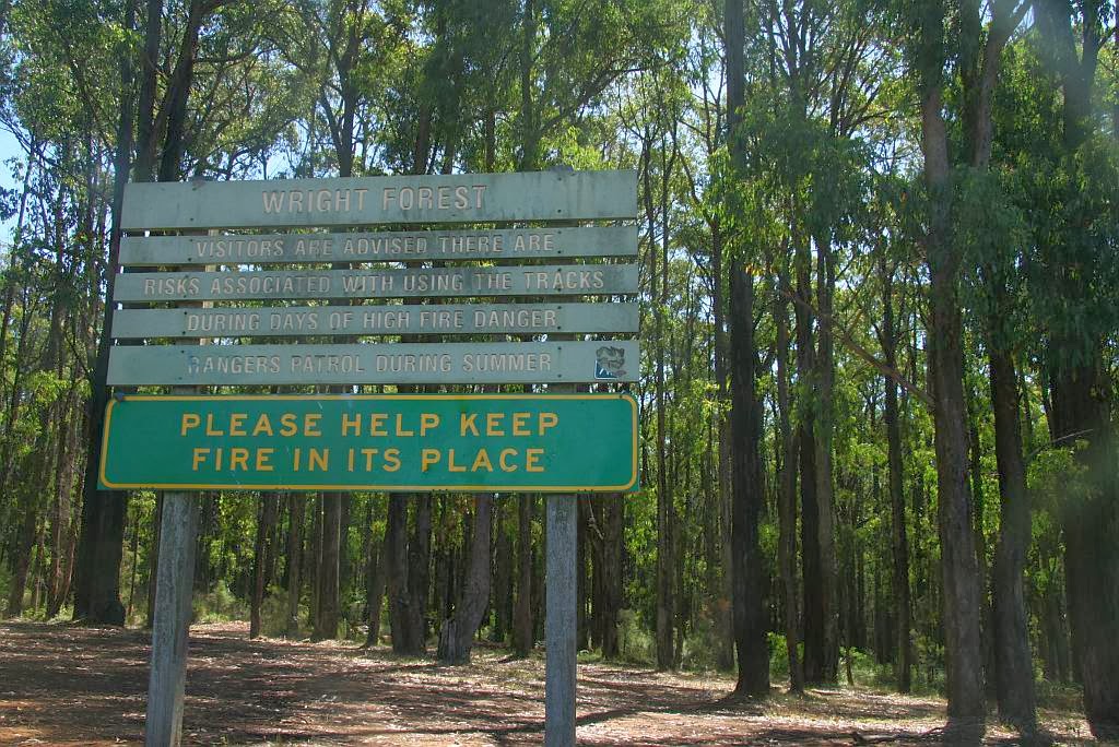 TRACKS, TRAILS AND COASTS NEAR MELBOURNE : Exploring the Wright Forest ...
