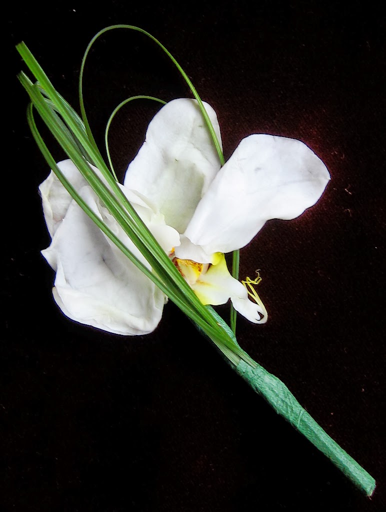 ¿Quién Dijo Boda?: febrero 2014