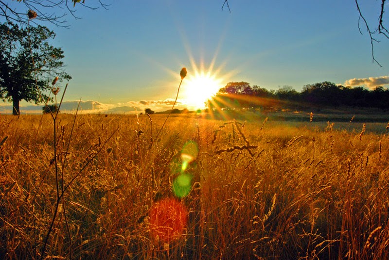 YOUMETHEMUS: POCA LLUVIA Y MUCHO SOL