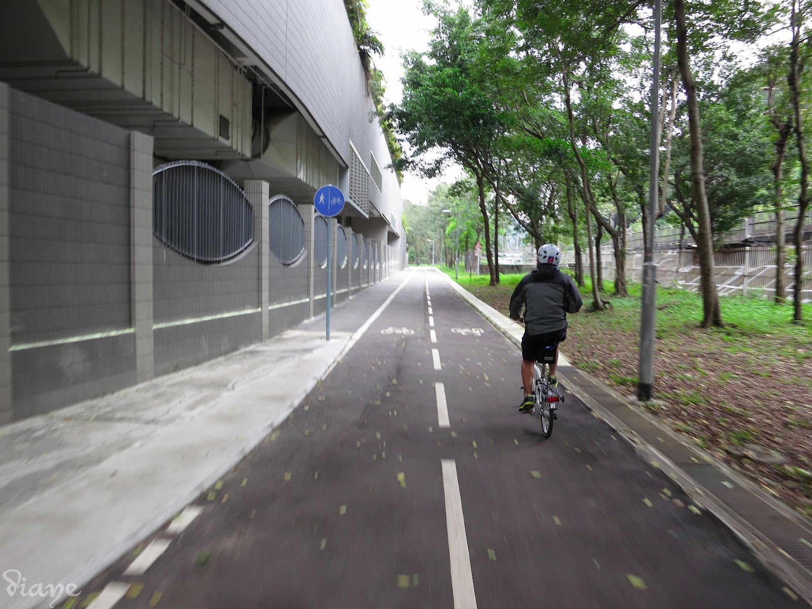 Riding a folding bike around Manila: Mini Bike Tour of Hong Kong 3 (Sha ...