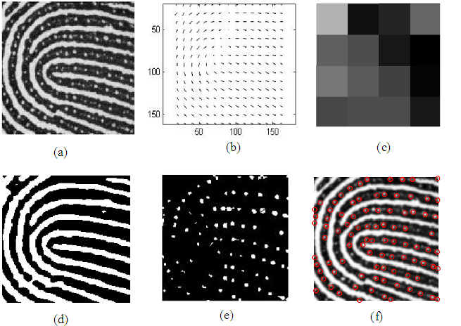 Image Processing with Matlab: DAPM Model
