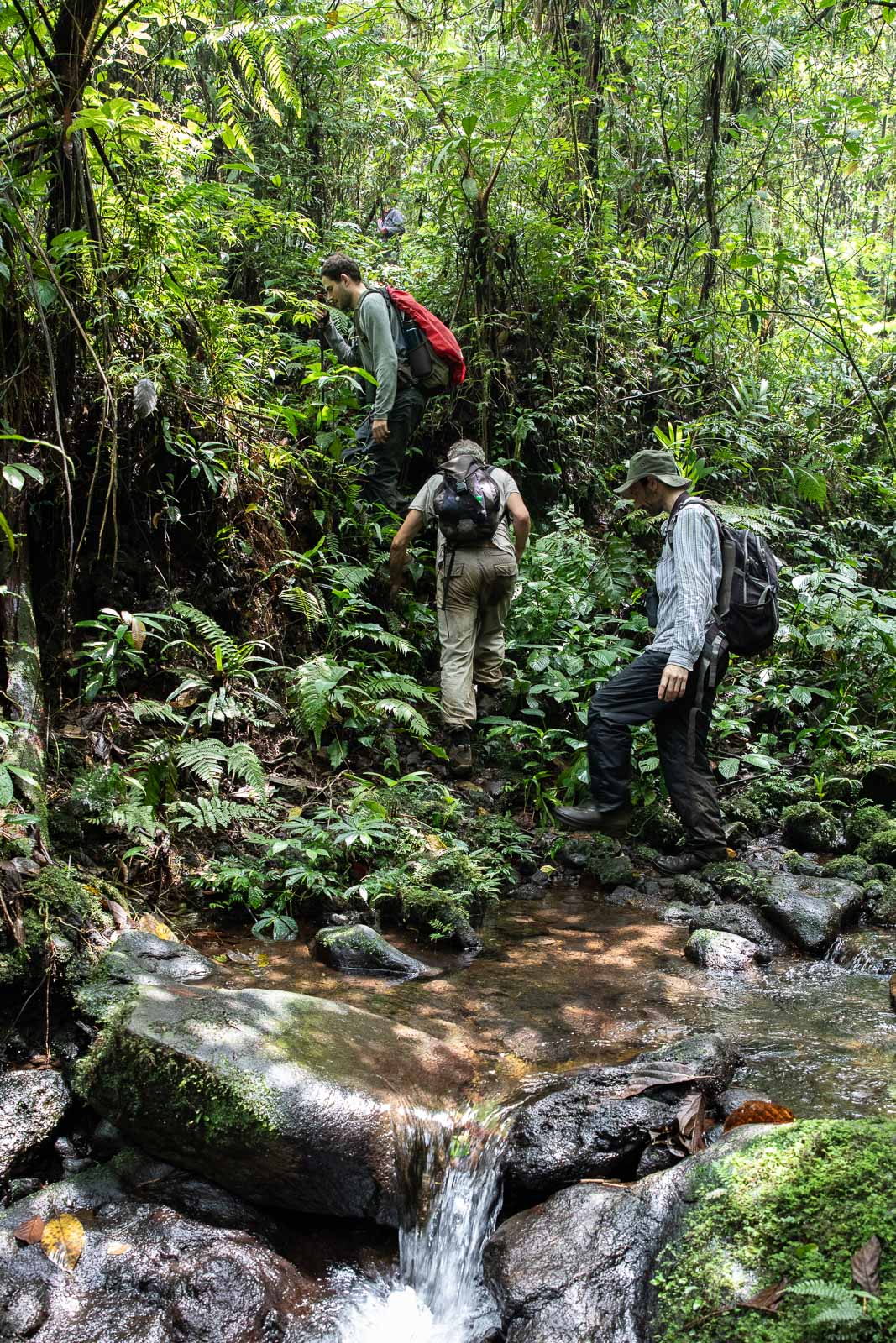 Stuart Marsden's Conservation Research Group