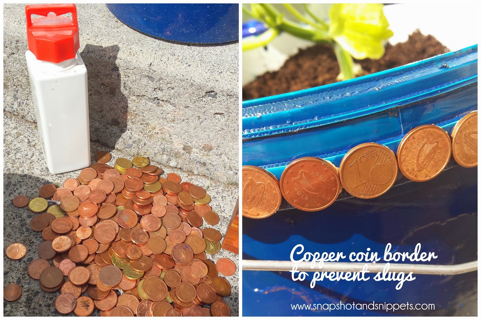 How To Make Your Own Garden Planters Snapshots And Snippets how-to-make-your-own-garden-planters-snapshots-and-snippets