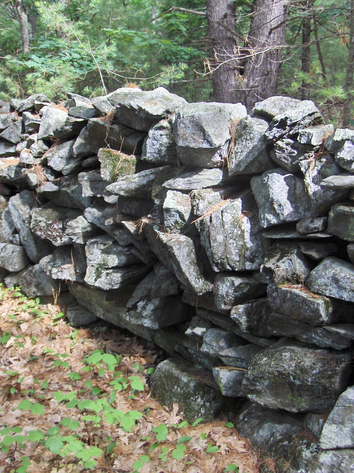 Rock Piles: Nice stone walls