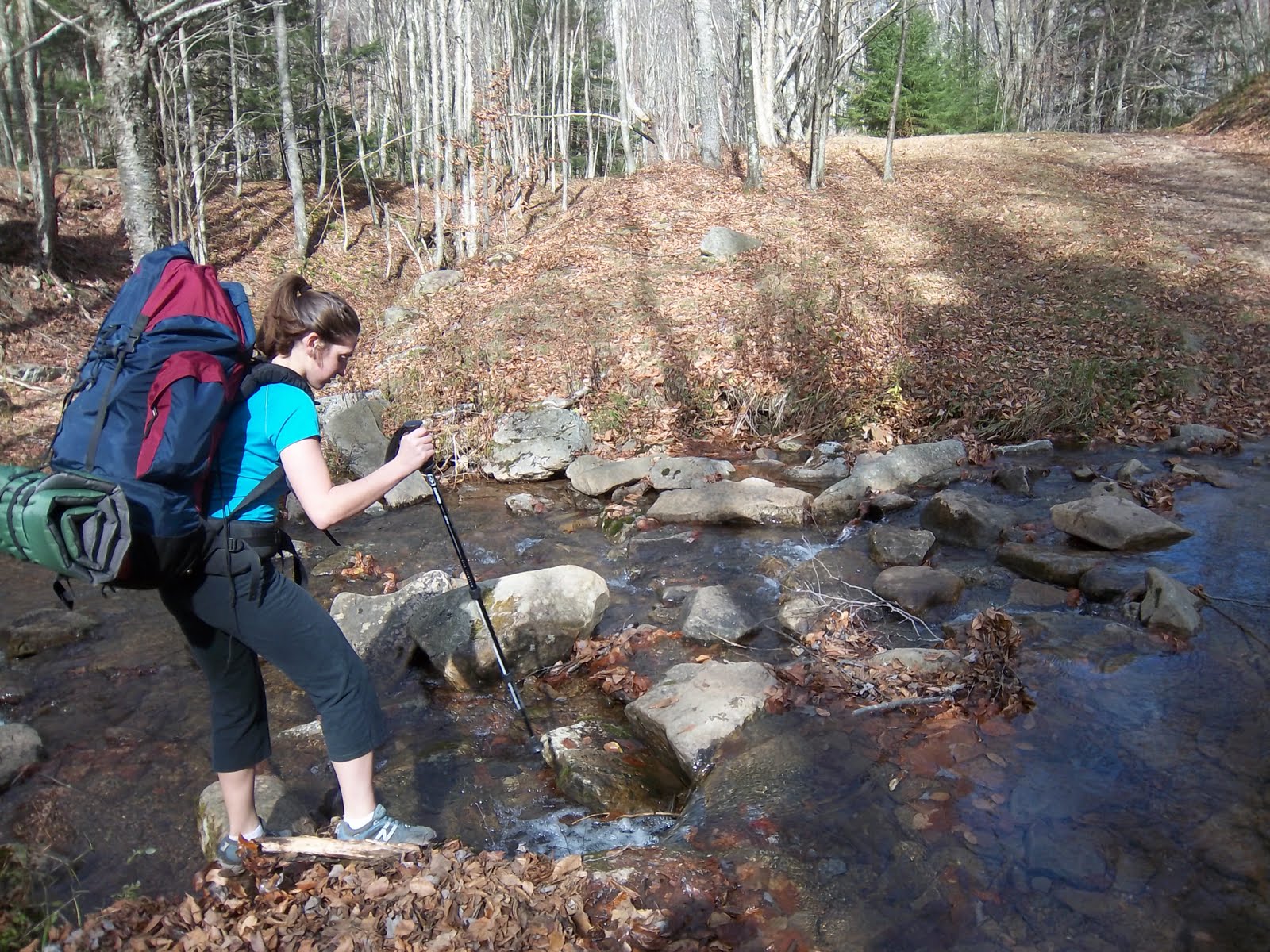 Grobe Anglers And Adventures: Seneca Creek West Virginia