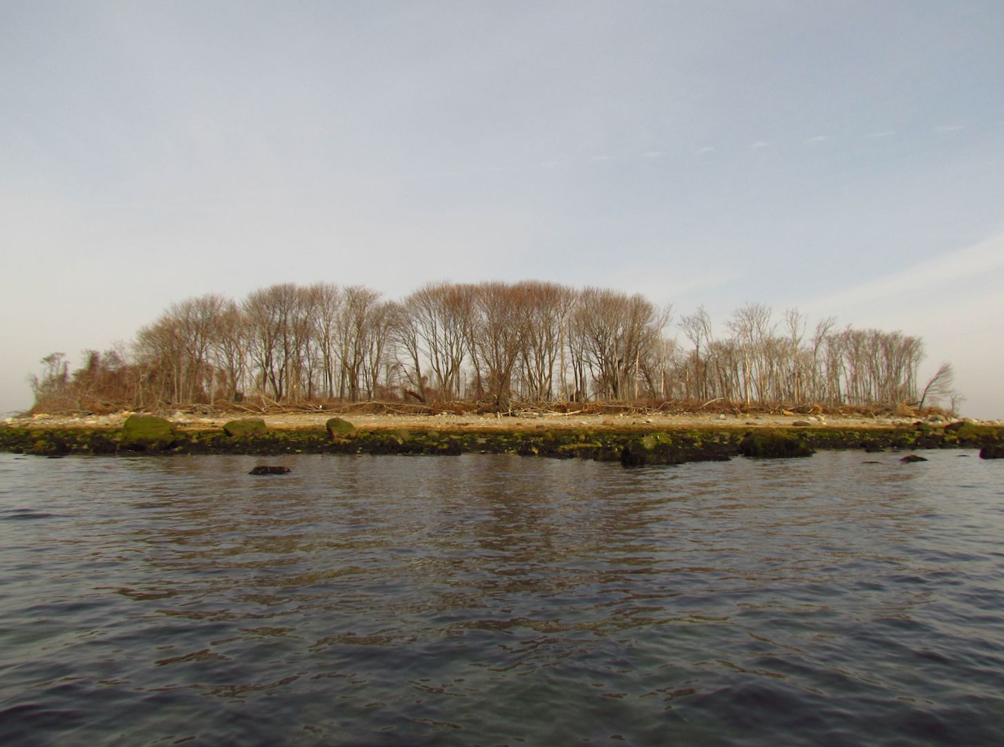 The View From the Canoe: Charles Island