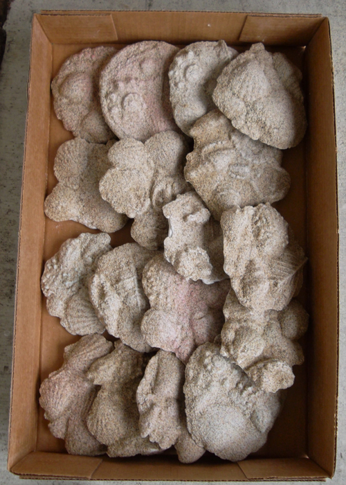 bitz n' bytz ......: March 2012