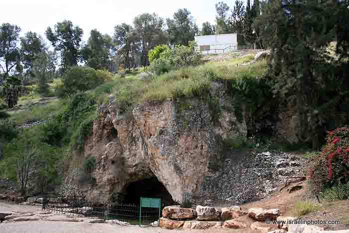Travel | Flowers in Israel: Harod Spring (Ma'ayan Harod) National Park ...