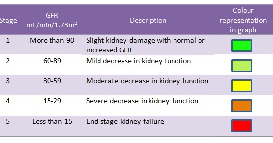 Prepare for Medical Exams : Estimated GFR or eGFR For Staging Chronic ...