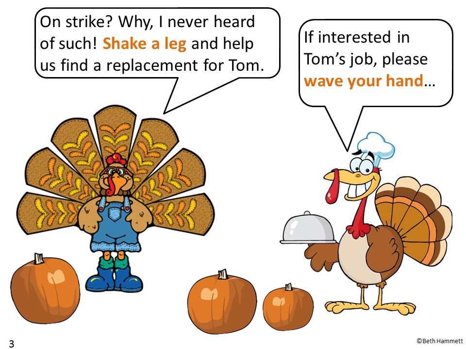 Educator Helper by Beth Hammett: FREE Thanksgiving Tom the Turkey Takes ...