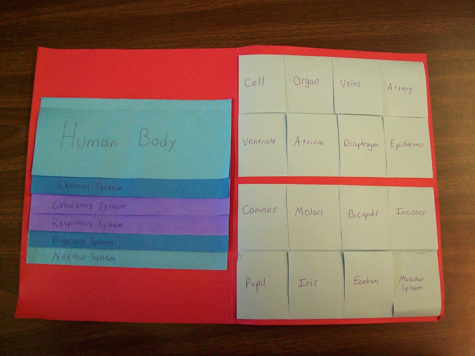 Hunter's Tales from Teaching : Science Foldables