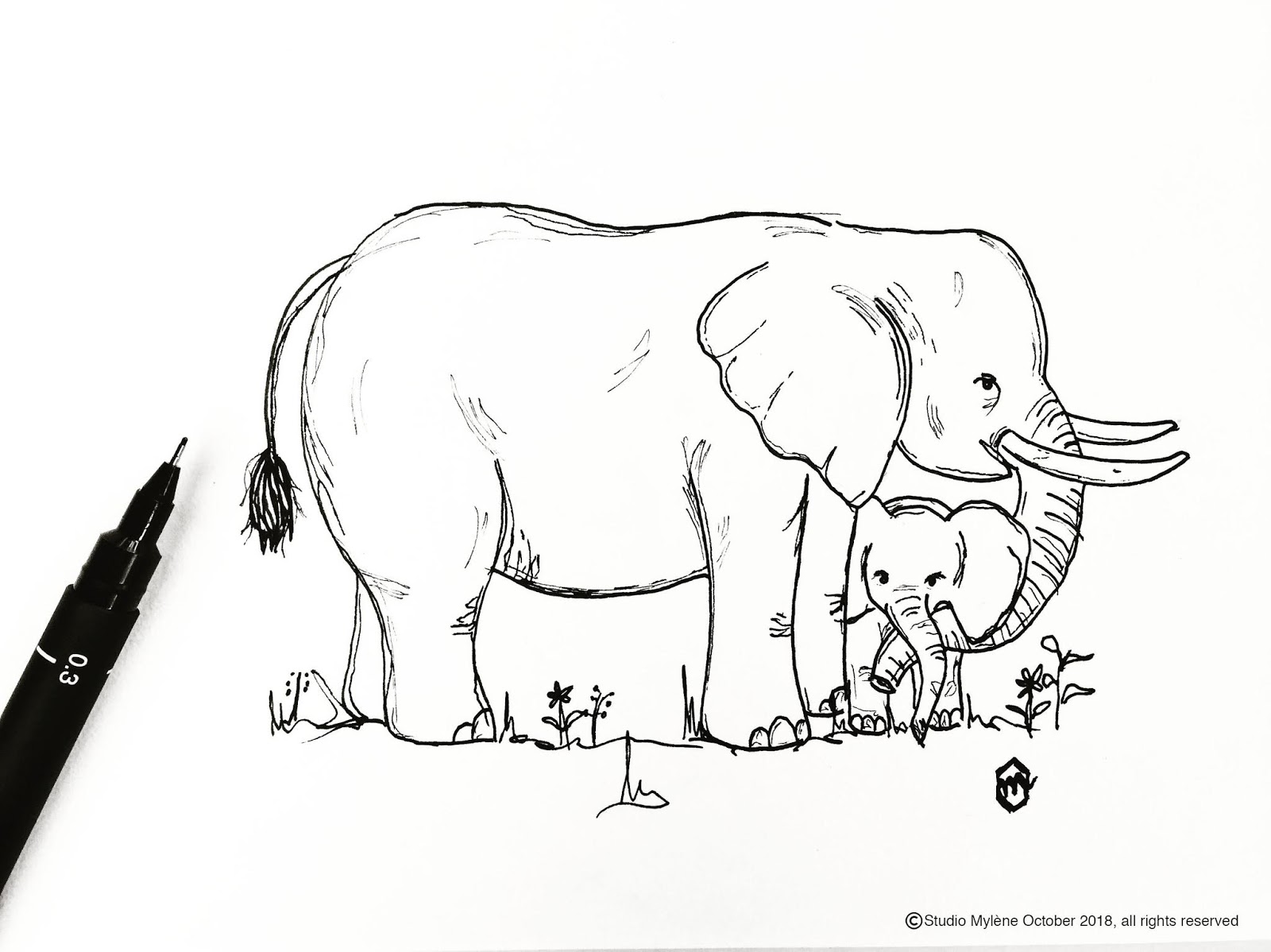 What You Never Knew About Poaching