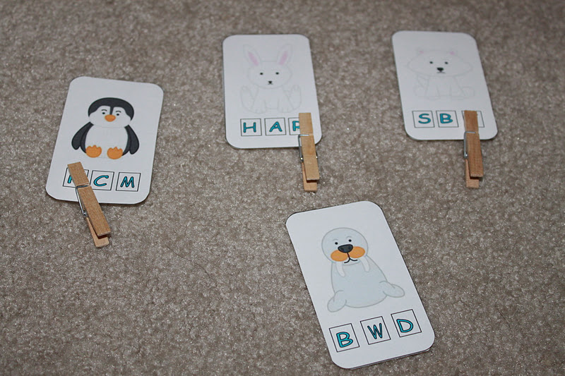 Miller Academy: Animals in Winter