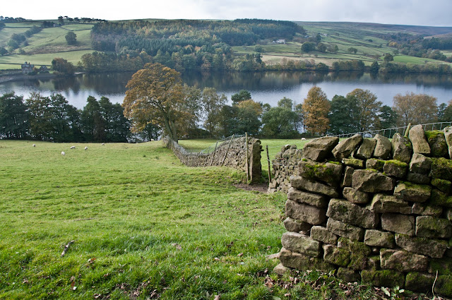 Wigtwizzle - Norman Smith's Travel Blog.: A Walk in Nidderdale