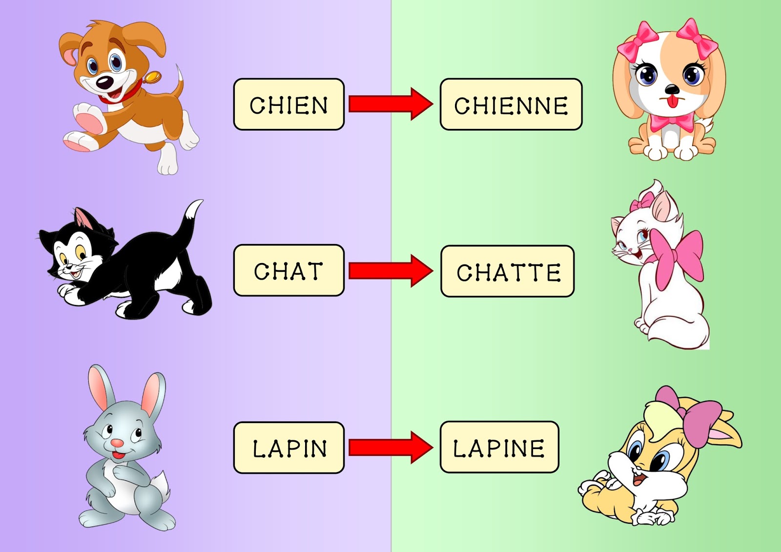 Notre blog de français: Le féminin de quelques animaux - Vocabulaire