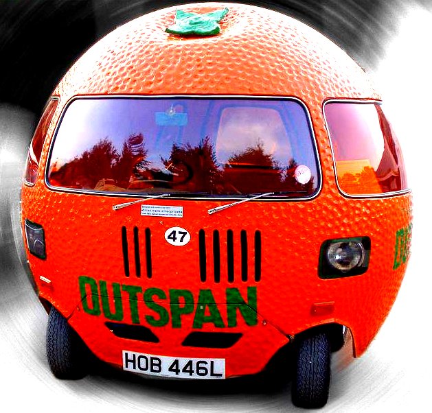 The Flying Tortoise: It Looks Like An Orange. It's Very Cute. It's ...