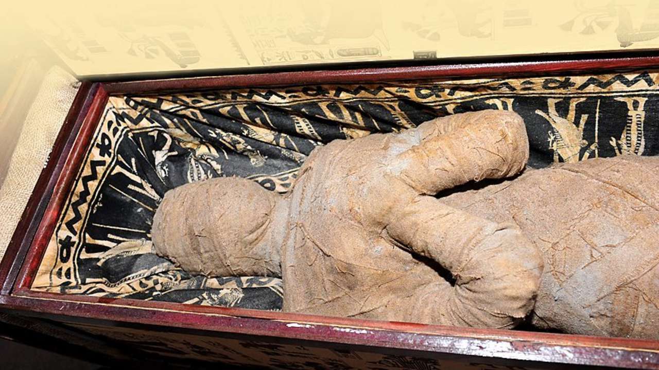 Wow, 10 Fakta Mumi Ini Benar-Benar Menarik untuk Disimak - SEGALA FAKTA