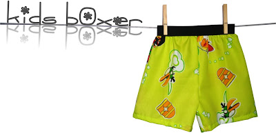 pOlkadaisie.style: kids boxer-angry bird series