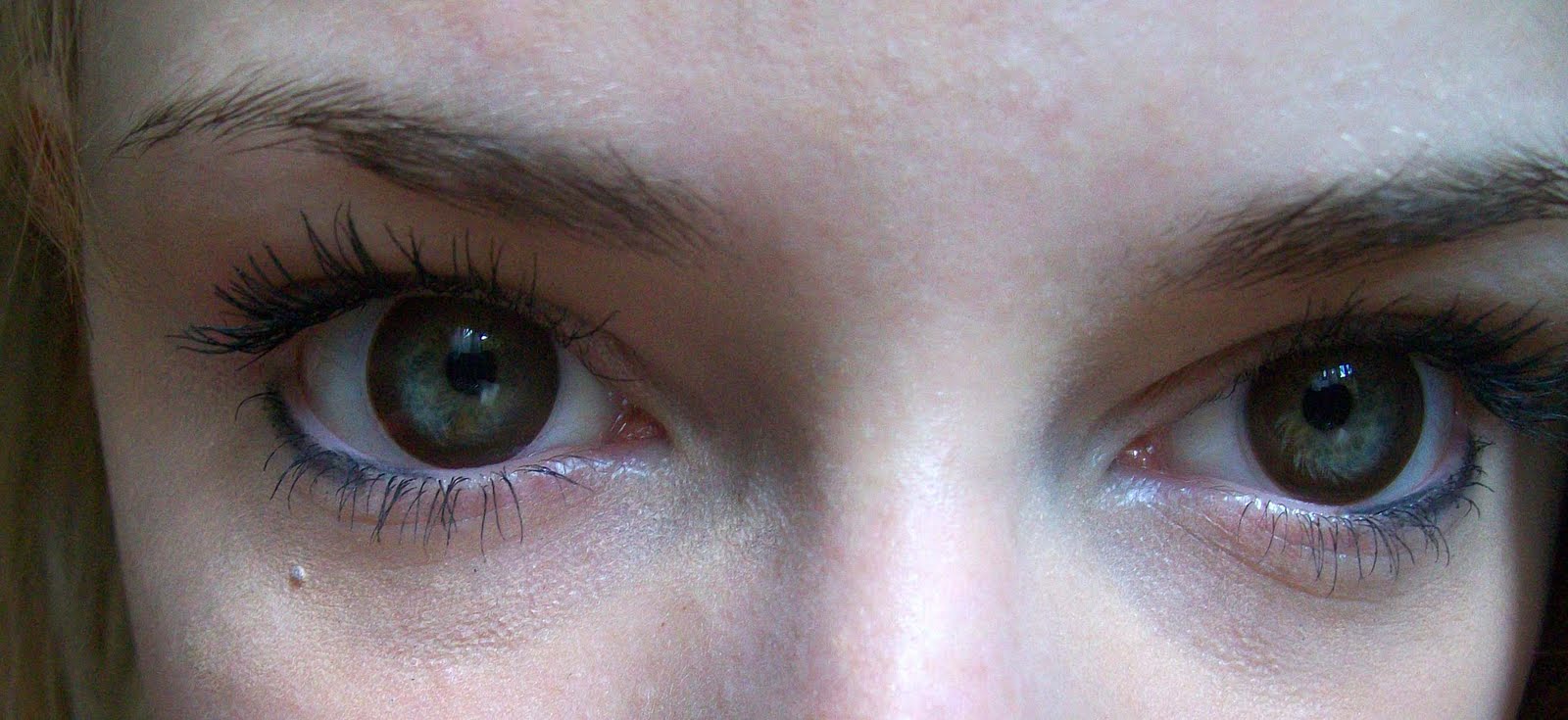 DoKi DoKi Cosplay: GEO Magic Colour Brown (BC-102) Lens Review