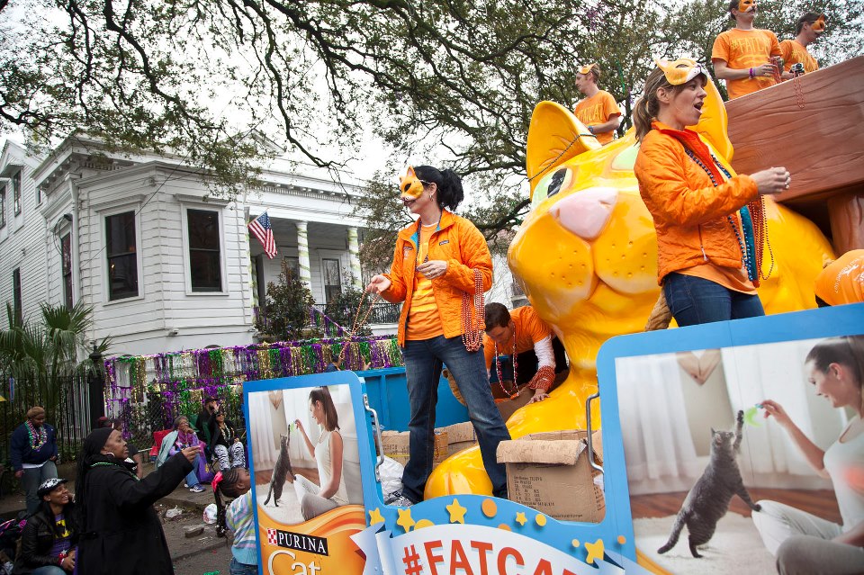 Catladyland: Cats are Funny: It's #FATCAT Fat Tuesday Mardi Gras Parade!