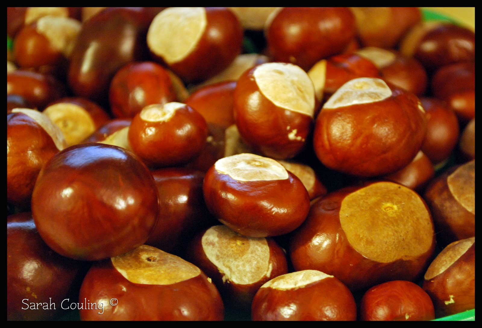 Going Conkers! Conker Decoration tutorial. - Sarah's Creative Outlet