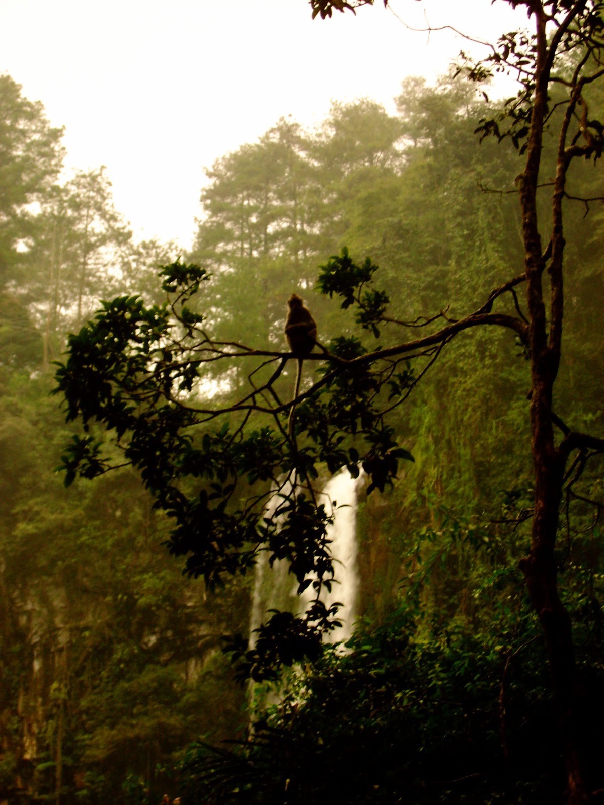 Grojogan Sewu Waterfalls, Tawangmangu | It's a Benvie World