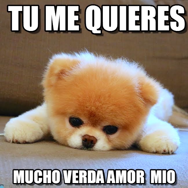 Poeta del Alba: enero 2015