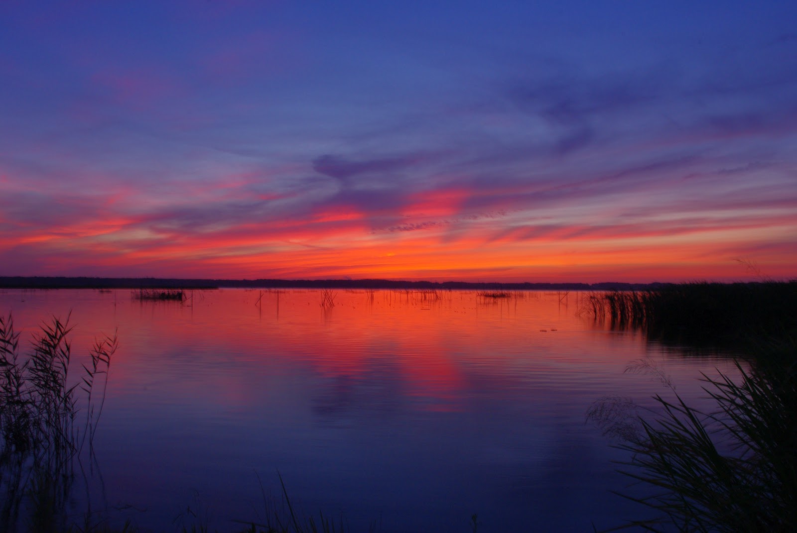 印旛沼周辺を撮っていくブログ Pictures around Inba-numa in Japan: 「朝焼けや 映える湖面に 三色旗」 8/ ...